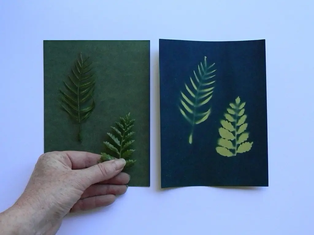 Cyanotype Paper Ready for Sun Printing