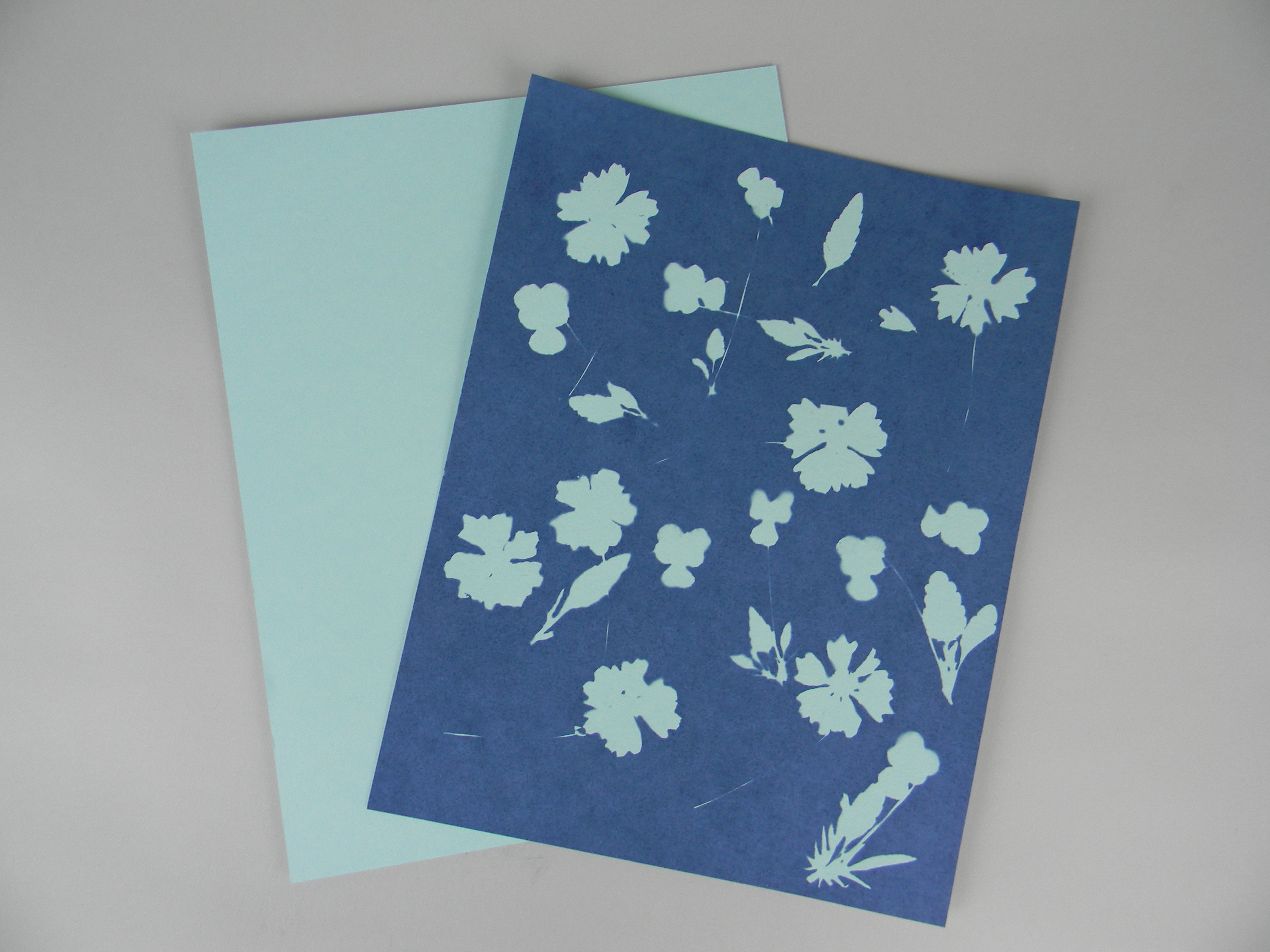 Cyanotype Paper Ready For Sun Printing